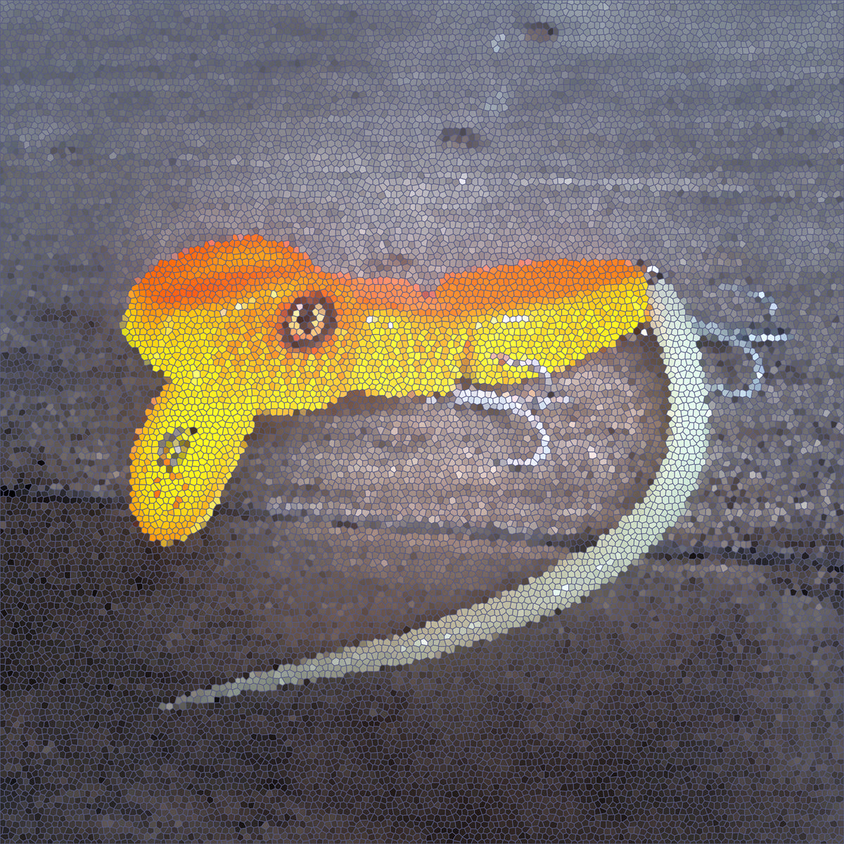 Upcoming Releases – Drop Bear Lures