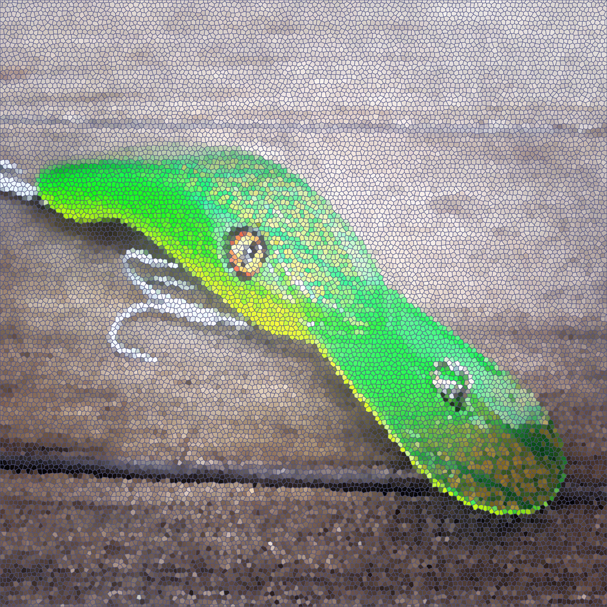 DIVING LURES – Drop Bear Lures