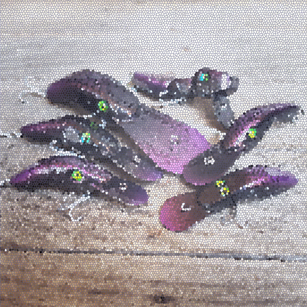 BEST SELLERS – Drop Bear Lures