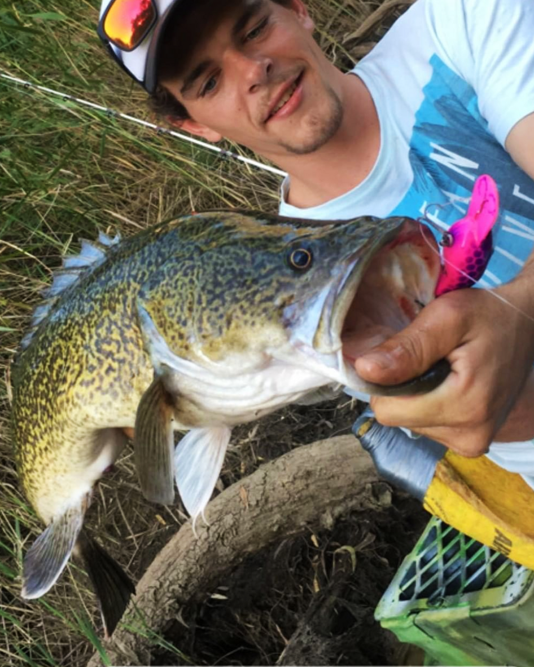 Drop Bear Lures - Aussie made fishing lures